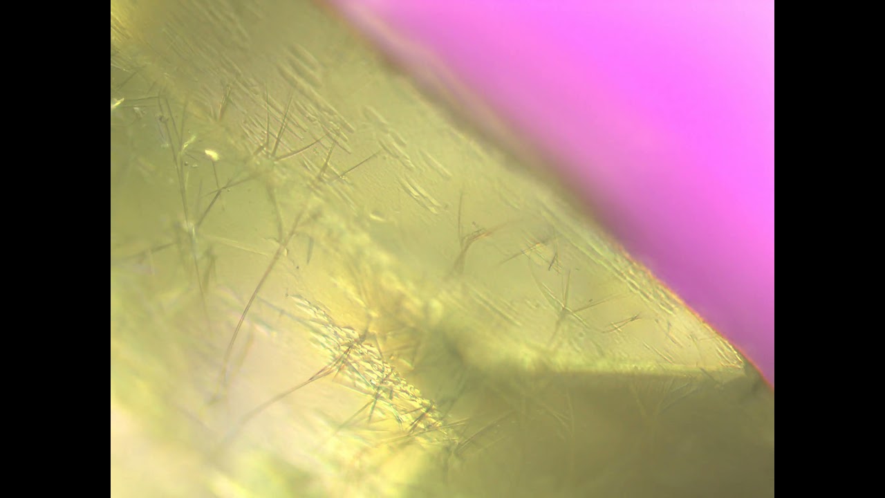 [(100)facet] Real-time polarized light microscope observation of ...