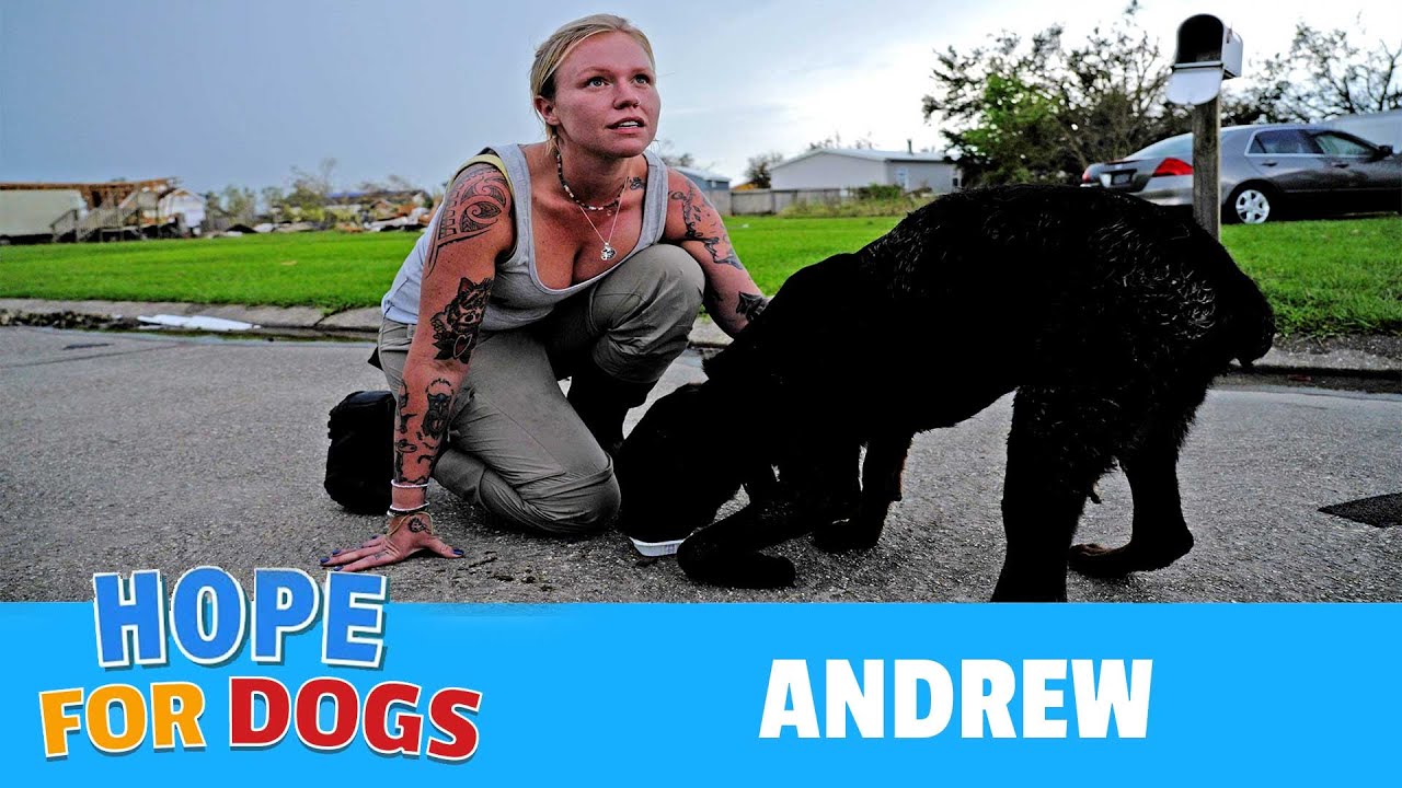 Operation Hope For Paws Rescue Dog With Broken Leg After Hurricane Ida ...