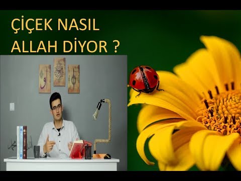 HER ŞEY BİZE ALLAH'I ANLATIYOR. PEKİ AMA NASIL? {BİRİNCİ SÖZ}