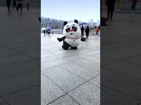 Panda dance - YouTube