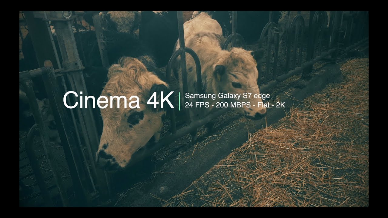 Android - Cinema 4K - 200Mbps / - 24 fps - 2K - Flat - #6 - YouTube