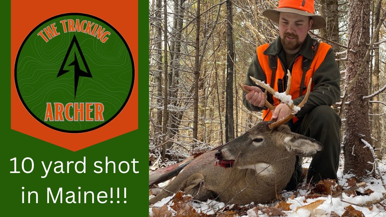 The Backtrack Buck - A Maine Deer Hunt with a CLASSIC Deer Rifle ...