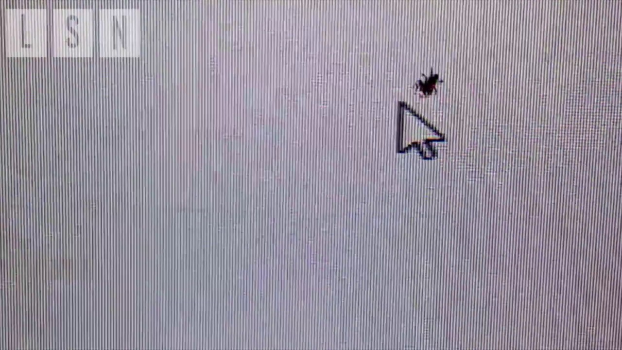 🕷 Jumping Spider vs. Mouse Pointer 🕷 🕸 - YouTube