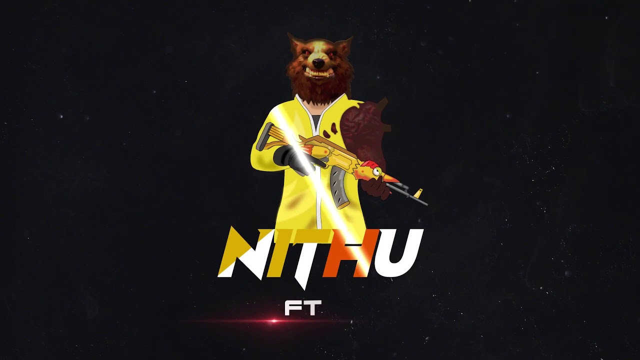 Introduction video | Nithu FTW - YouTube