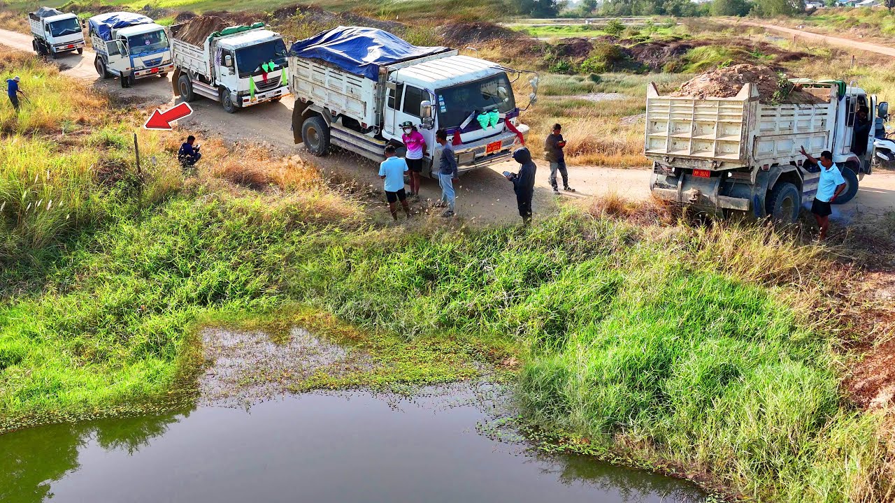 Full Video! Start LANDFILL Task Use Dozer Pushing the Rice field ...