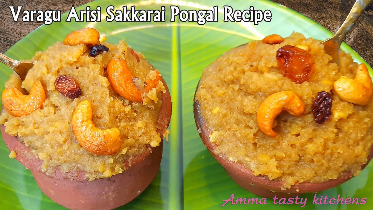 varagu arisi sakkarai pongal/ varagu arisi sweet pongal/ varagu rice ...
