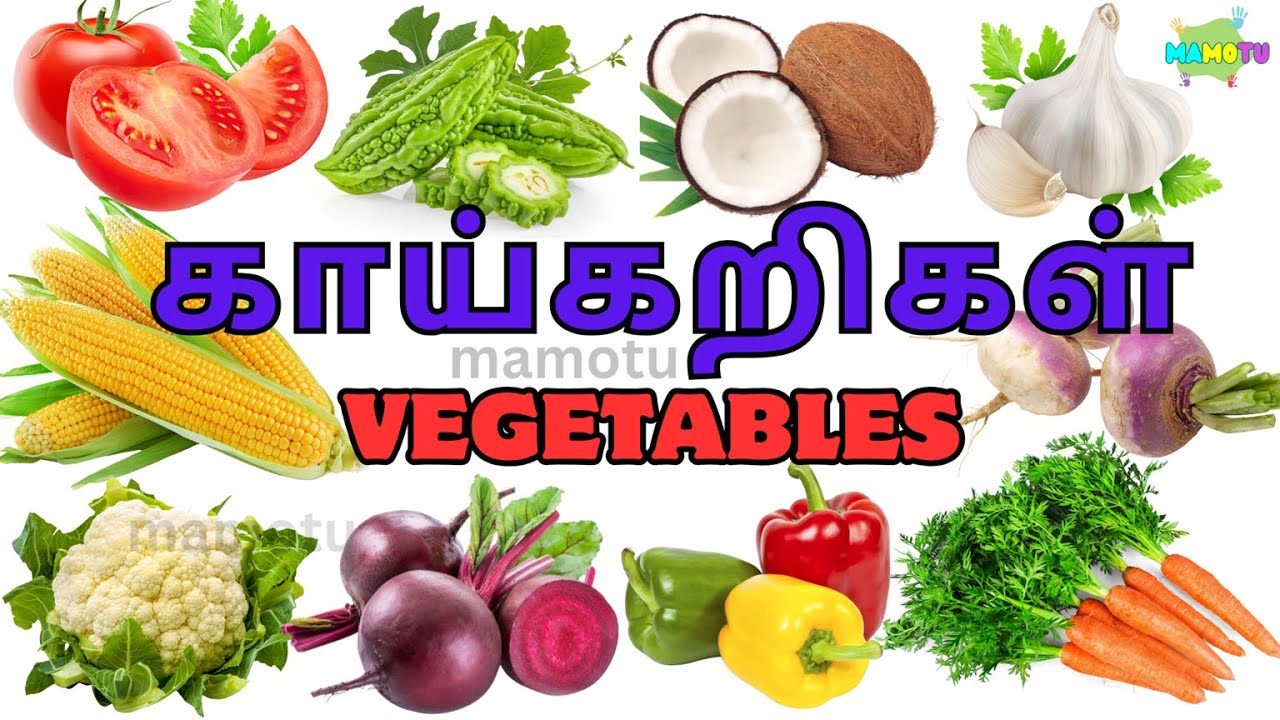 காய்கறிகளின் பெயர்கள்|Vegetables Names in Tamil & English|Learn ...