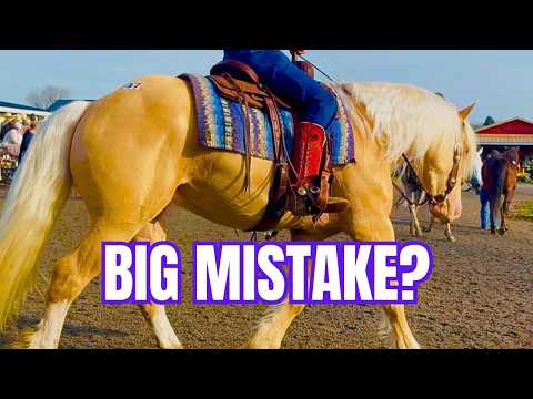 Should I Have Bought This Horse???