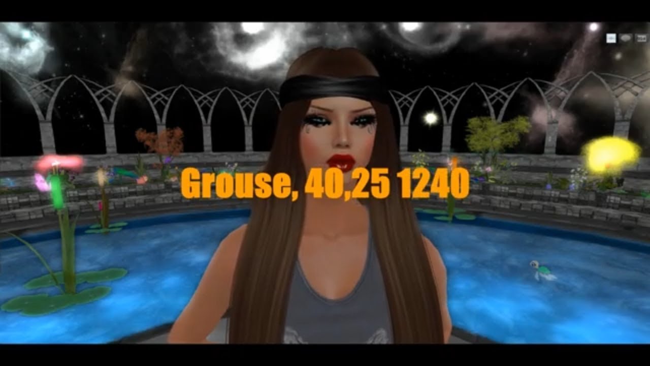 HOW to use the new REWARDS CARDS and SERVER for PAPILLON BREEDABLES IN ...