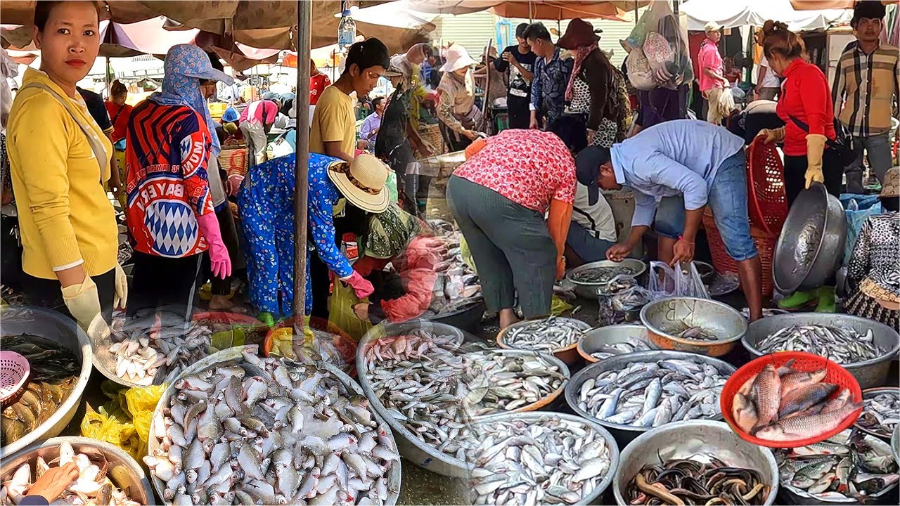 Activities of Kilo Fish Market No. 9! Many fish bought in a hurry ...