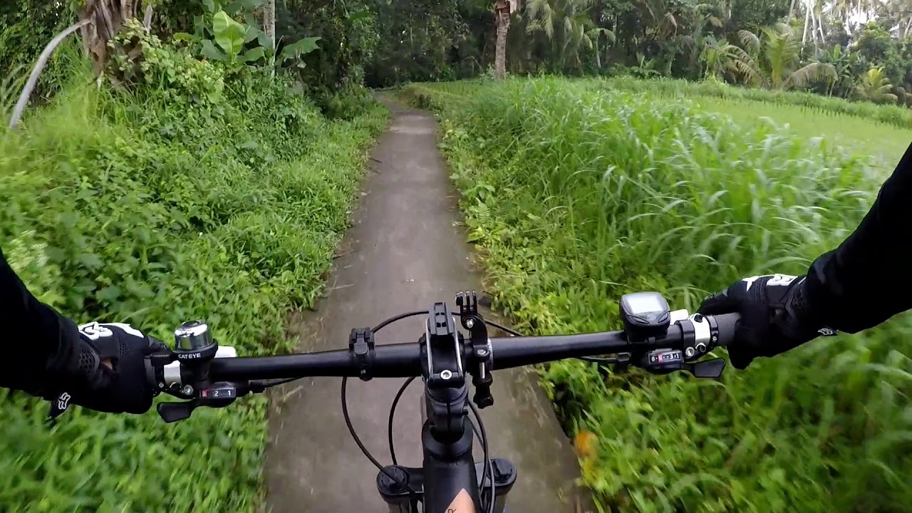 Rice field ride part 2 #slowride with my#polygonpremier4L - YouTube