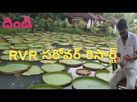 RVR Sarovar Resort Dindi ll RVR సరోవర్ రిసార్ట్ దిండి ll EAST GODAVARI ...