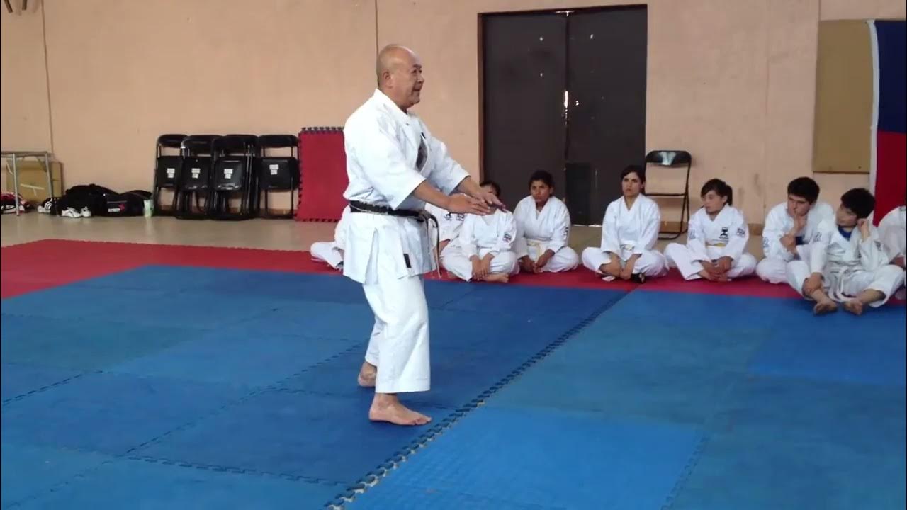 Kata Sanchin, Maestro Sasaki en Chile 2010, Goju Ryu Karate Do, Byakko América - YouTube