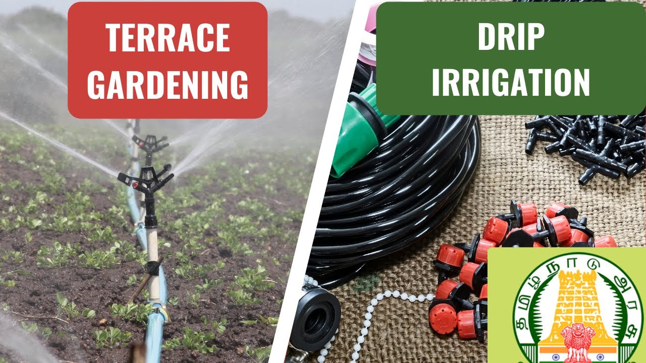 DD GALLERY || TERRACE GARDENING DRIP IRRIGATION - YouTube