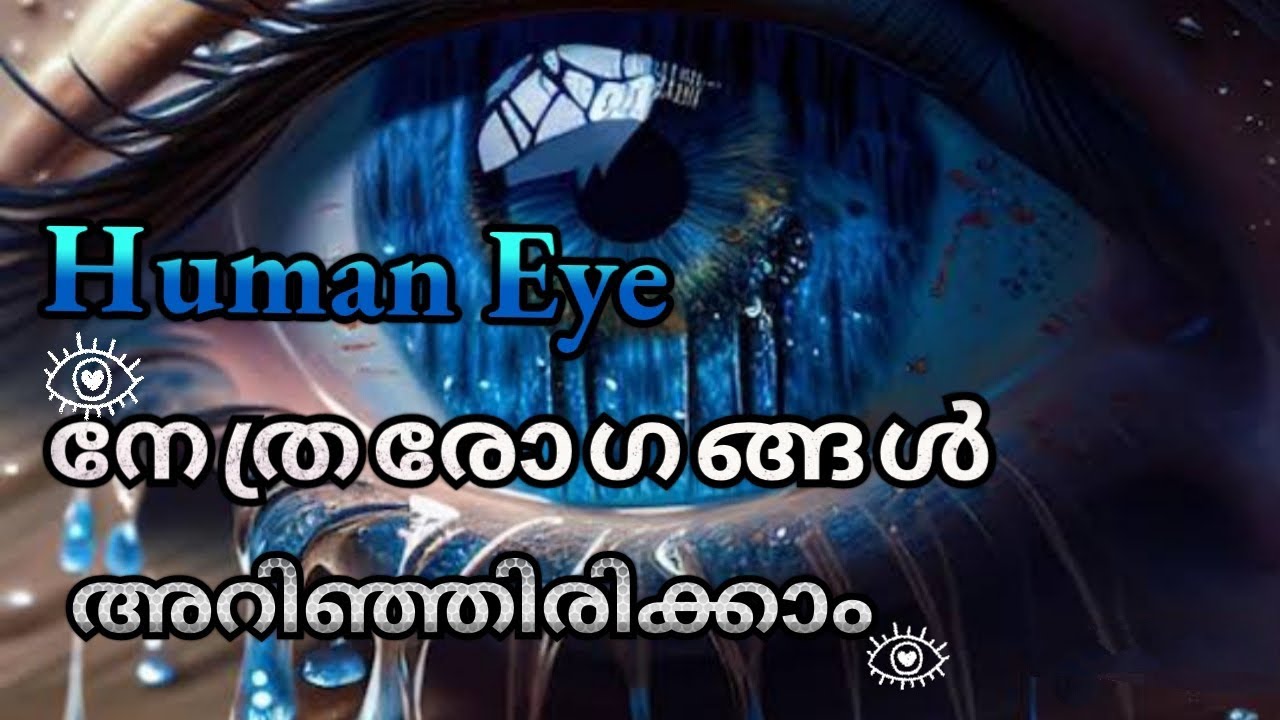 പൊതുവായി കാണപ്പെടുന്ന നേത്രരോഗങ്ങൾ | Human Eye | Eye Diseases | - YouTube