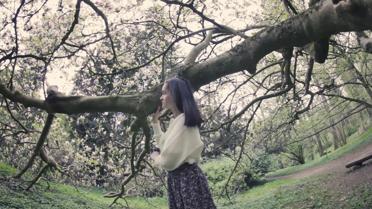 Elven Bird - Into my Dream ( Live Session ) - YouTube