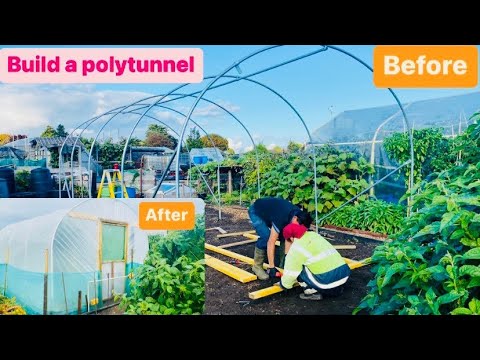 How to build a polytunnel 10ft wide and 20ft long. Polytunnel ...