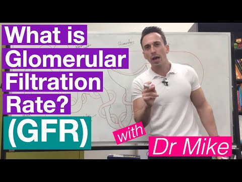 Glomerular Filtration Rate (GFR) | Renal System