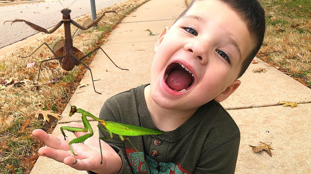Caleb & Mommy Playing Outside & Find PREYING MANTIS BUGS! - YouTube