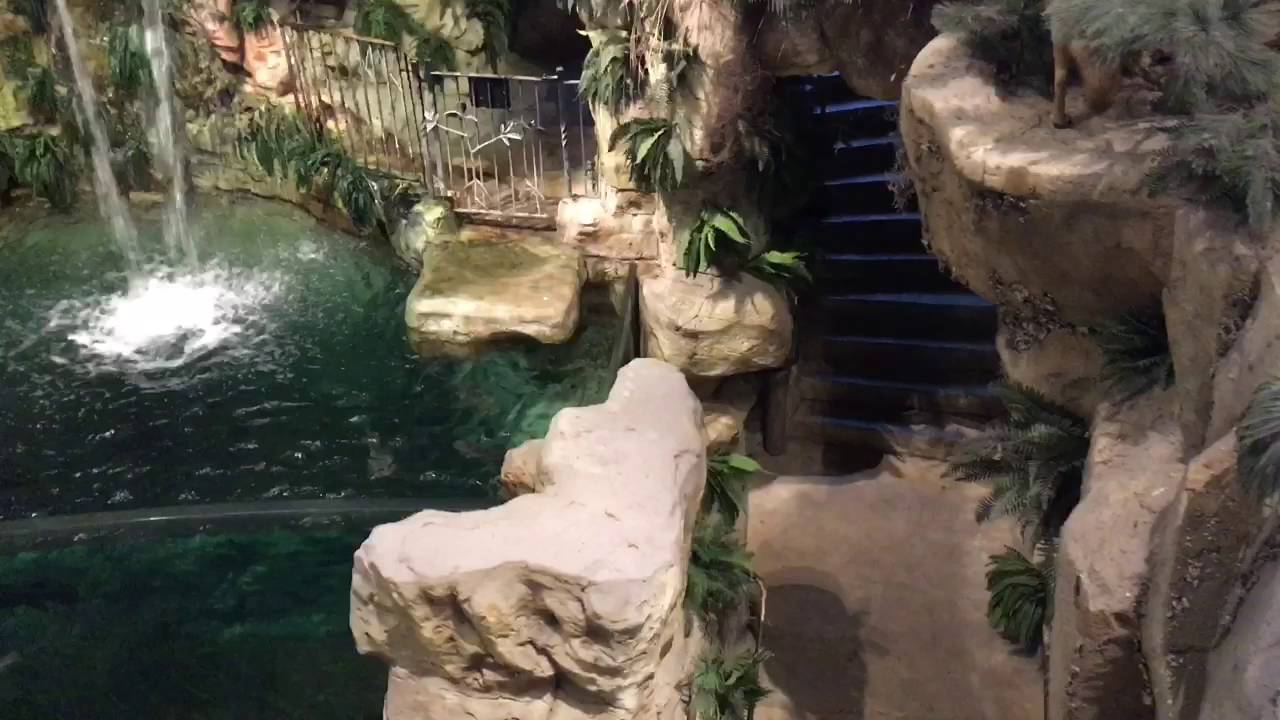 Bass pro shop - Mobile Alabama- - YouTube