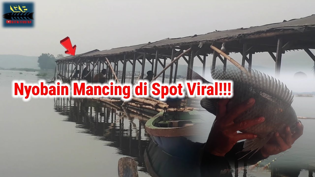 Nyobain Mancing Di Spot Viral!!!|| mancing jangari ciarata terbaru - YouTube