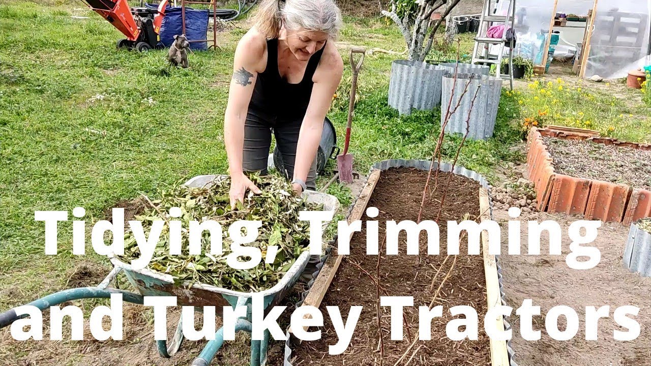 No 38, Tidying,Trimming and Turkey Tractors - YouTube