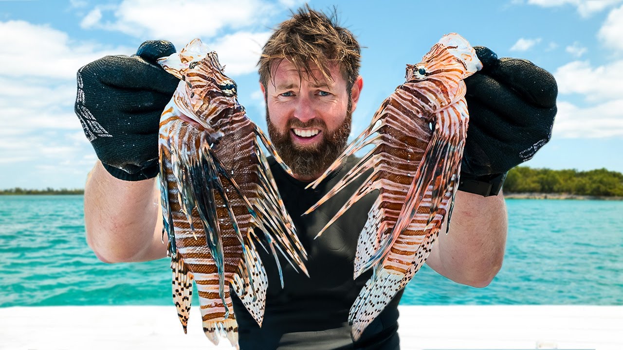 Catch and Cook The World's Worst Venomous Fish - YouTube