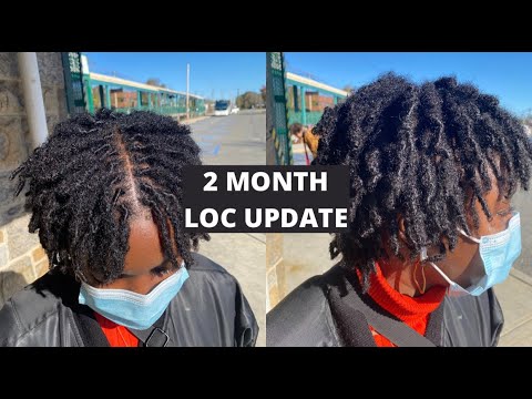 2 MONTH LOC UPDATE | LOC JOURNEY - YouTube