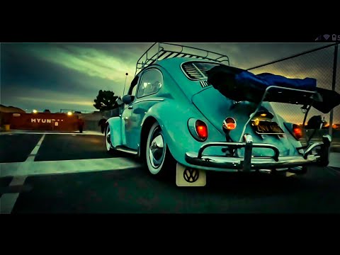 Bugs at Sunset - YouTube
