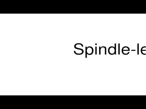 How to pronounce Spindle-legged - YouTube