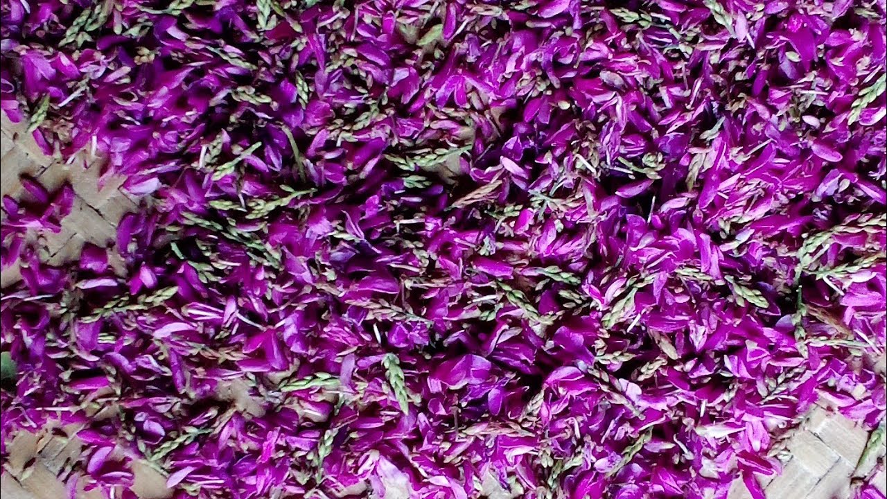 Giliri Flower Recipe - YouTube