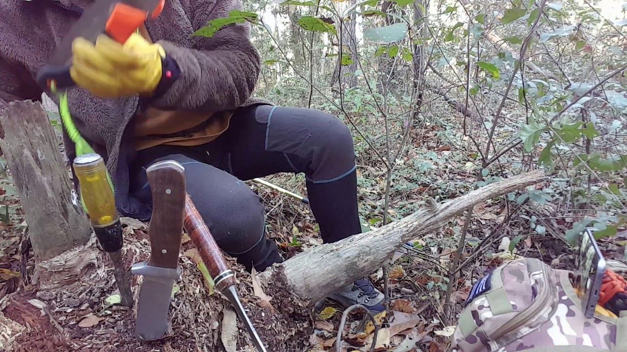 Scouting Fatwood Stump Adventures Volume 13 Part Two - YouTube