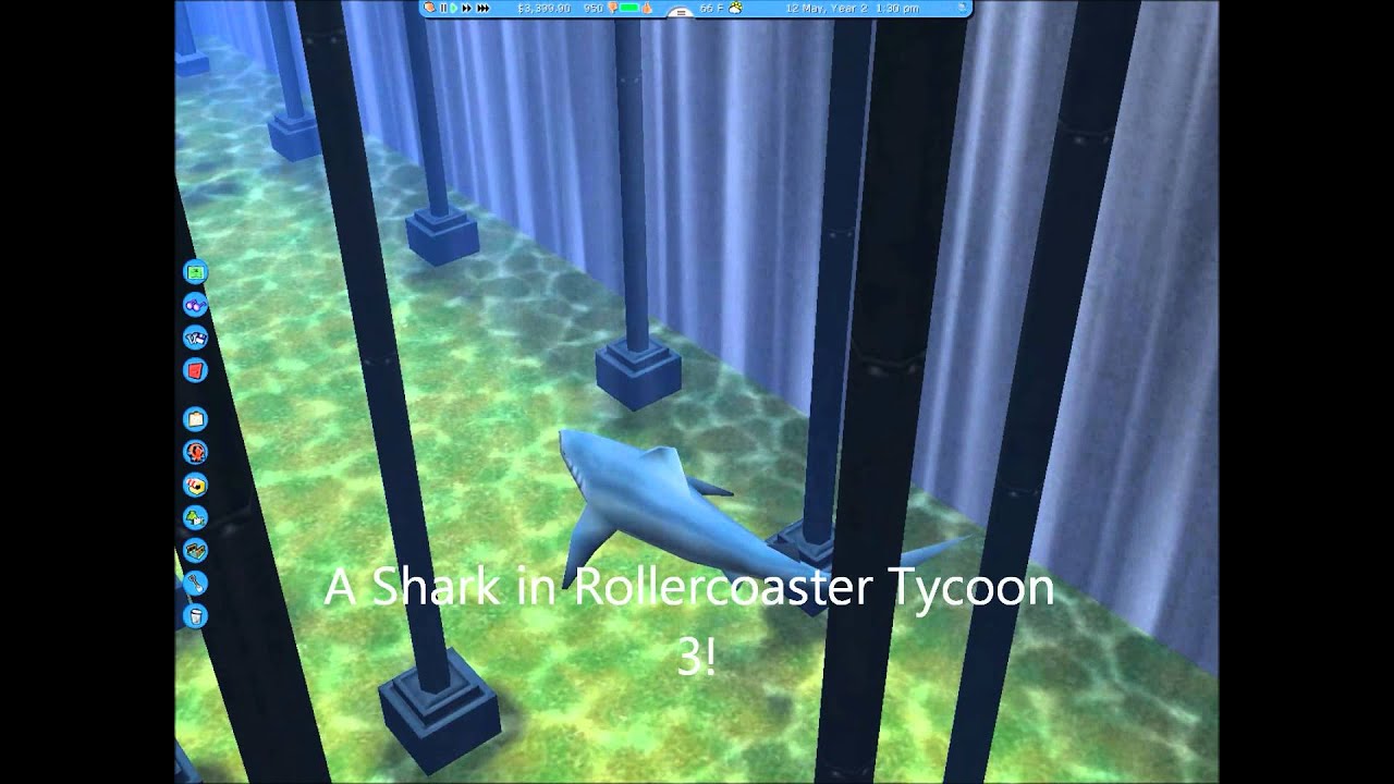 A Shark in Rollercoaster Tycoon 3! - YouTube