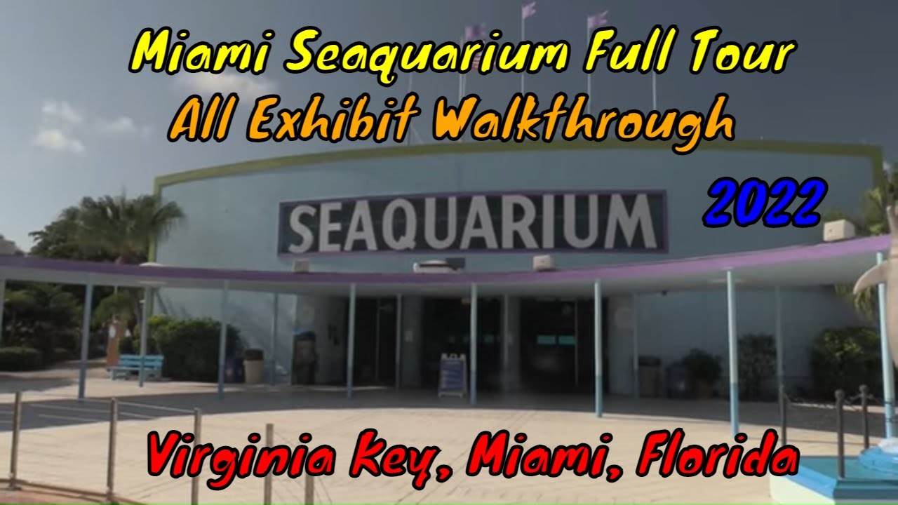 Miami Seaquarium Full Tour - Virginia Key, Miami, Florida - YouTube