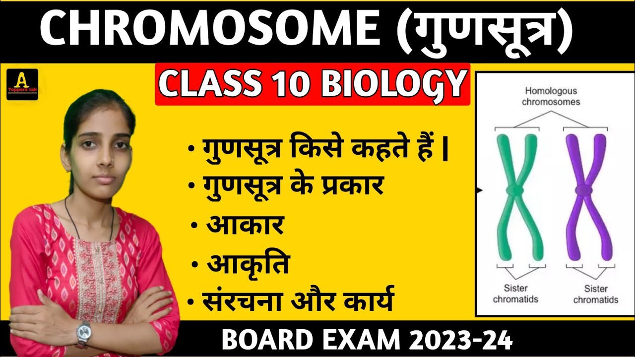 Chromosome | Gunsutra | गुणसूत्र किसे कहते हैं | chromosome structure ...