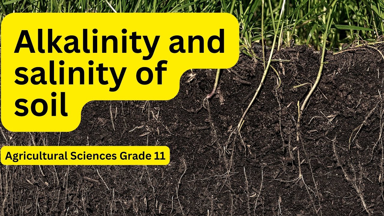 Agricultural Sciences grade 11: Alkalinity and Salinity in Soil - YouTube