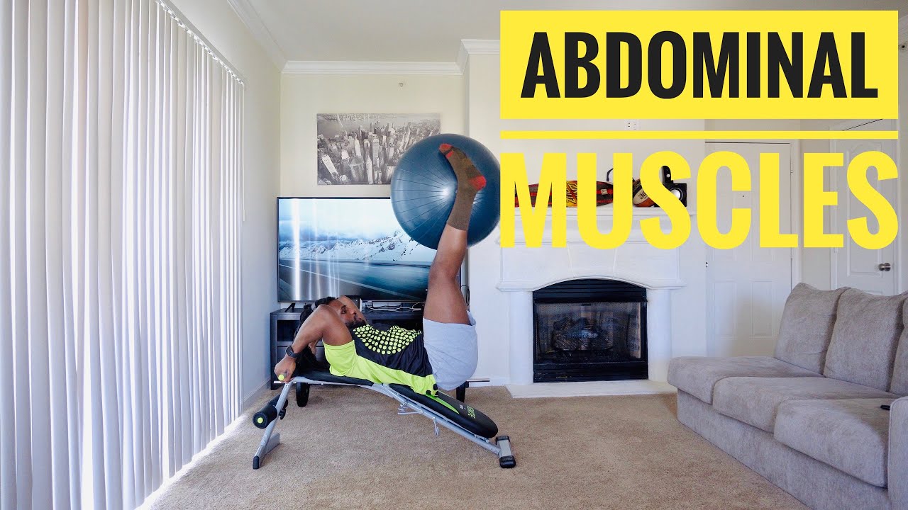 Abdominal Muscles | Fitness - YouTube