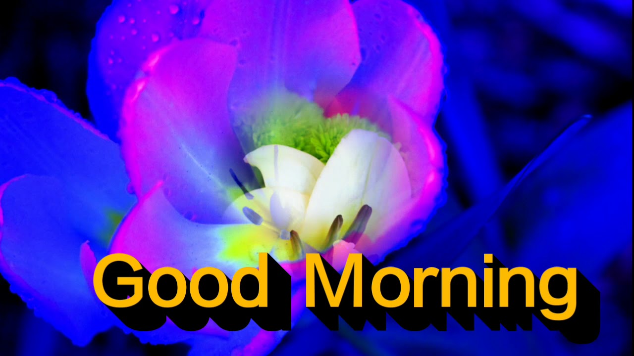Good_Morning_Video_#06_HD - YouTube
