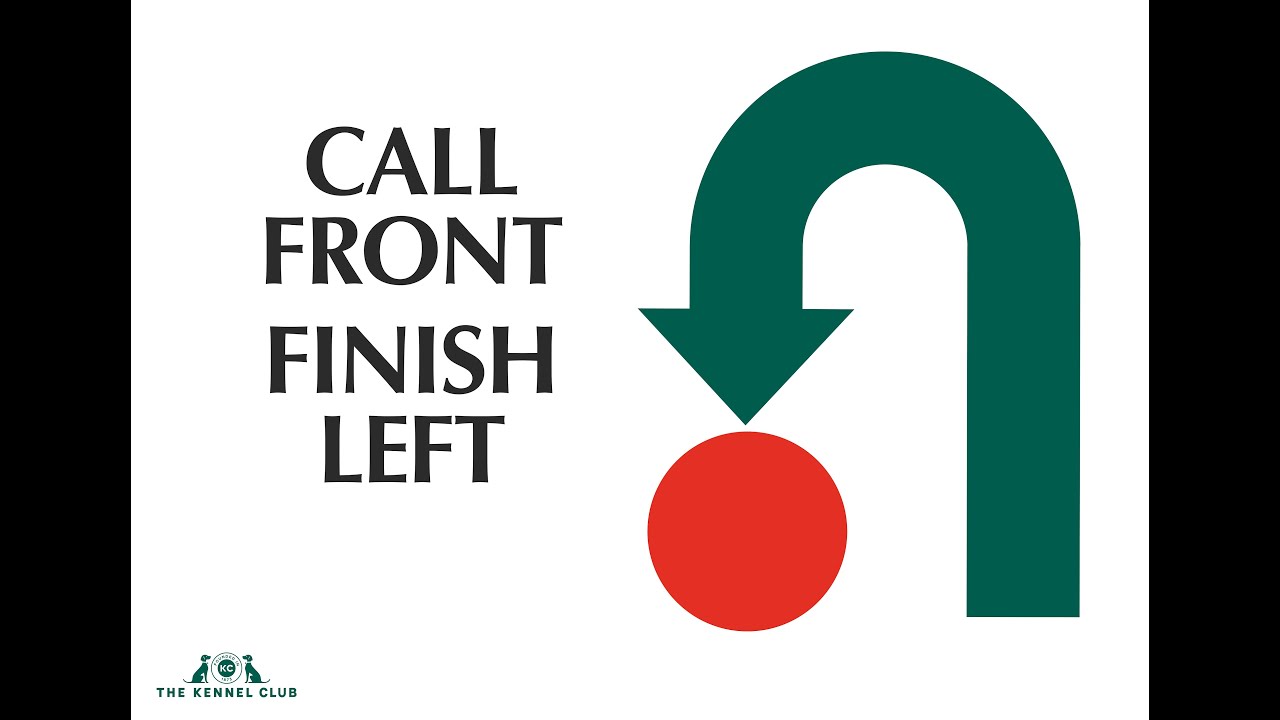 Exercise 14: Call Front Finish Left - YouTube