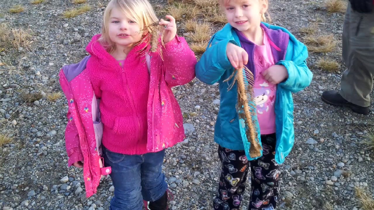 Mix of kaylee and friend - YouTube
