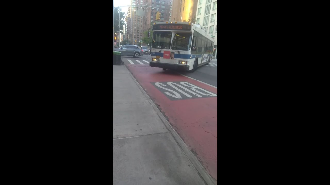 Manhattan, New York to Queens, New York - Q101 Bus Full Route - Hybrid ...