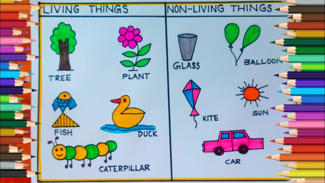 living things drawing|non living things drawing|living and non living ...