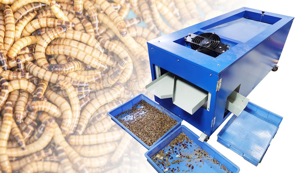 Fast Superworms Sorting Machine | Barley Worm Screening Machine with ...