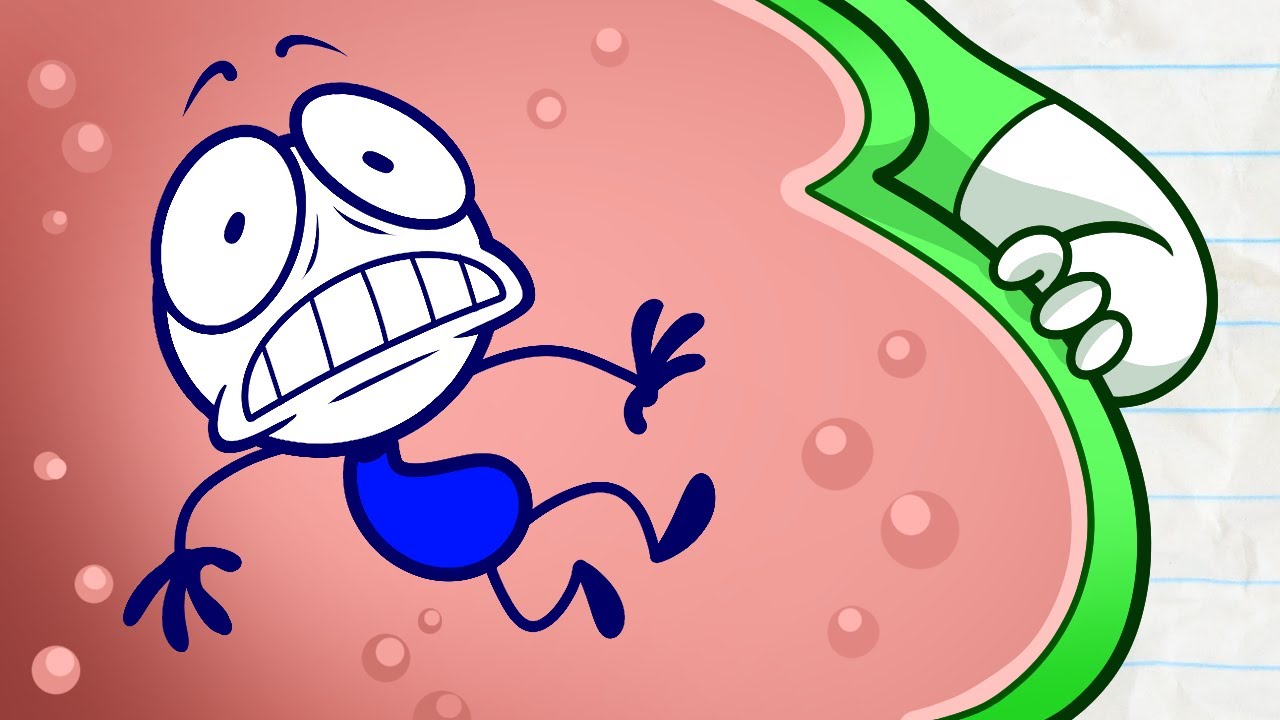"To Bean or Not to Bean" Tasty BEAN Compilation 2022 | Pencilmation ...