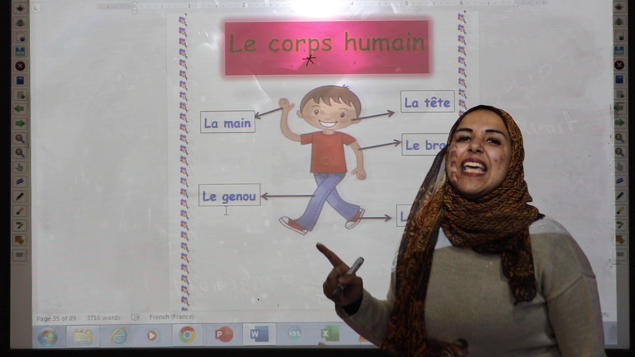 Prim 2 le corps humain French - YouTube