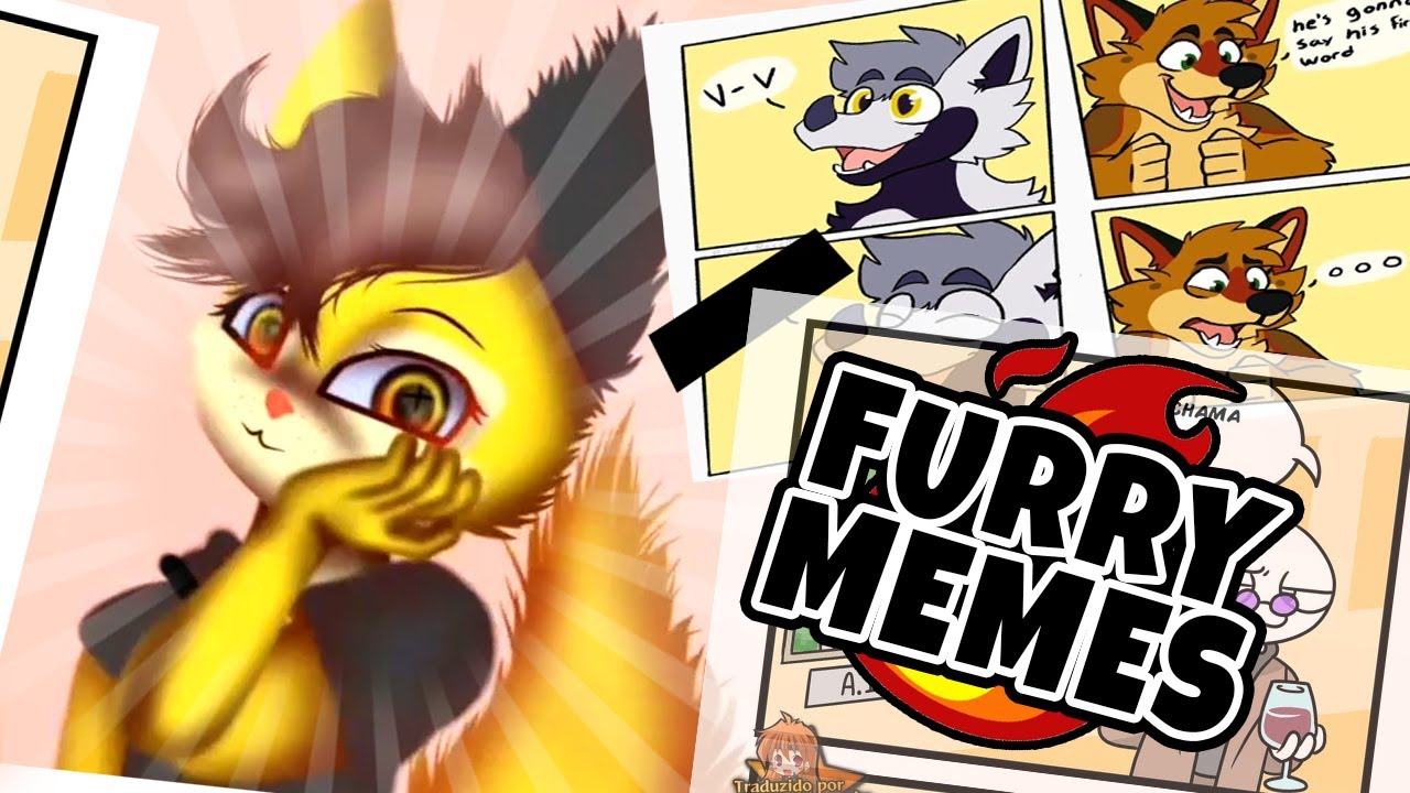 Memes Furros | Episodio 1 | @roadfelain - YouTube