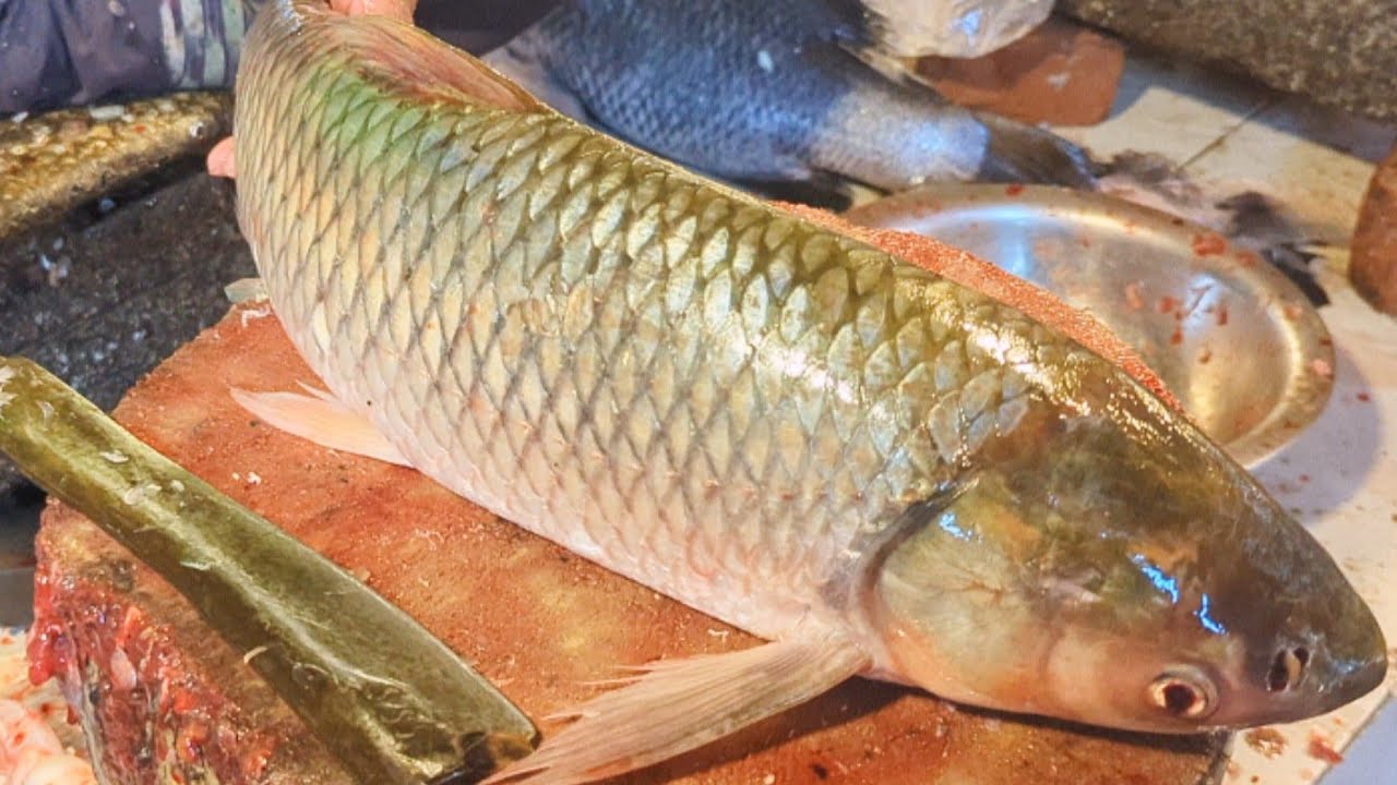 Amazing. Big Grass Carp Fish Cutting By Expert Fish Cutter l Fish ...