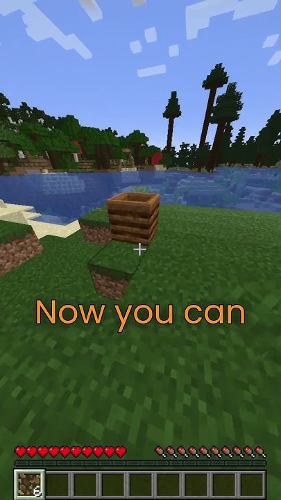 NEW FEATURE from snapshot 25w03a - YouTube