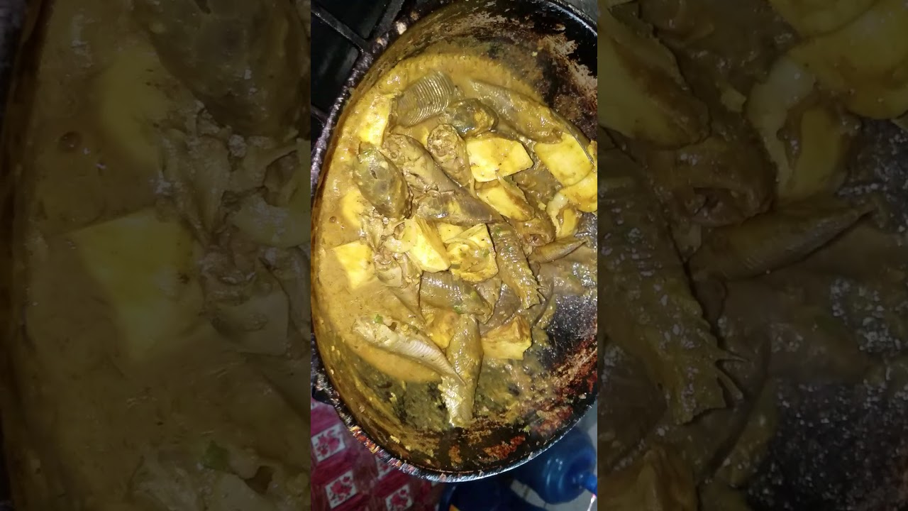 Only in Guyana hassa Curry - YouTube