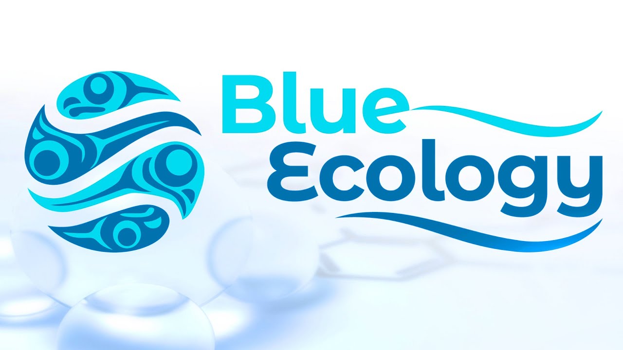 Watershed Moments Blue Ecology - YouTube